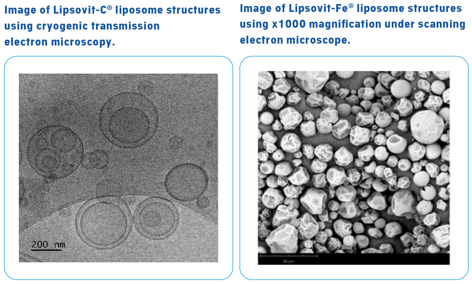 Liposomal Advanced Delivery - Quest Nutra Pharma